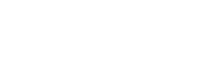 Micropro Software Solutions Limited