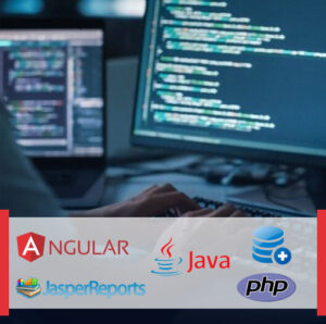 Manpower Services - Micropro Software Solutions Limited